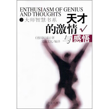 天才的激情与感悟【好书，下单速发】