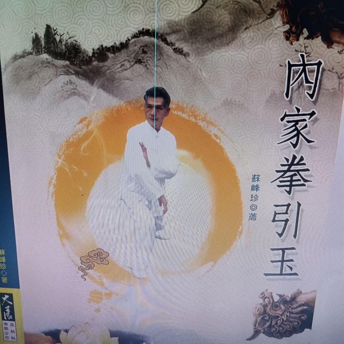 内家拳引玉武学释典现货速发