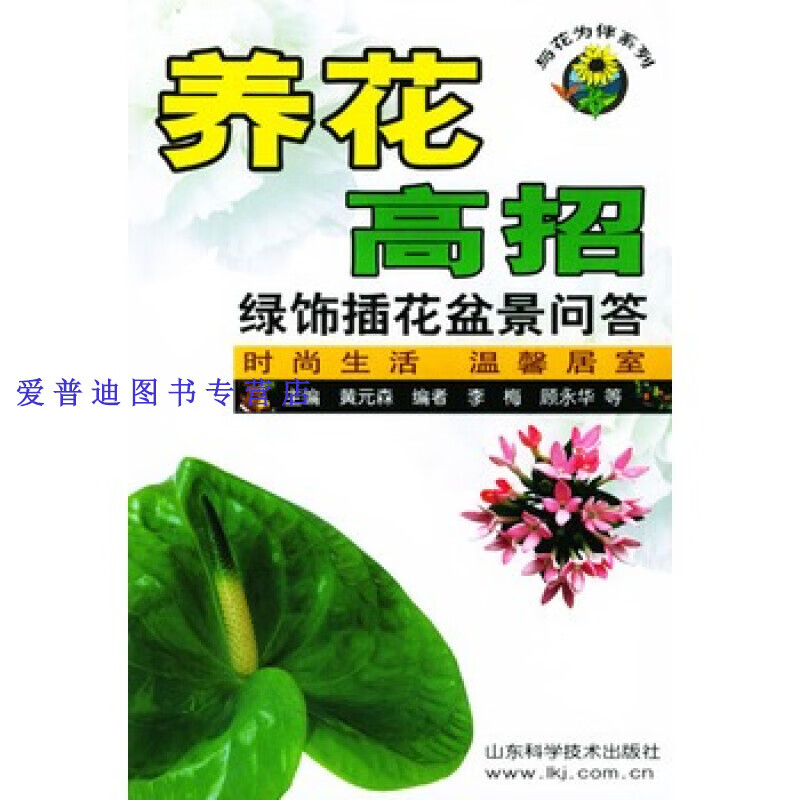 养花高招 绿饰插花盆景问答（与花为伴系列） 黄元森【好书，下单速发】