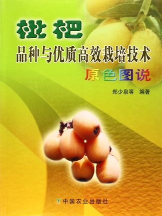 枇杷品种与高效栽培技术原色图说 9787109090613 枇杷良种栽培种植技术图解 郑少泉等编 郑少泉等编