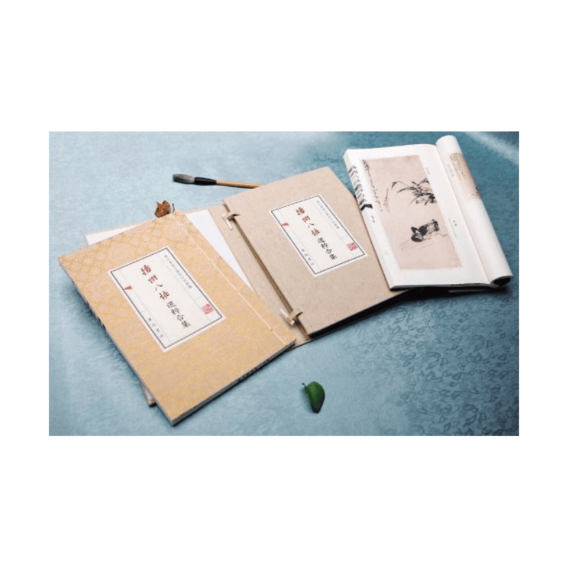 扬州八怪选粹合集 线装1函2册2g