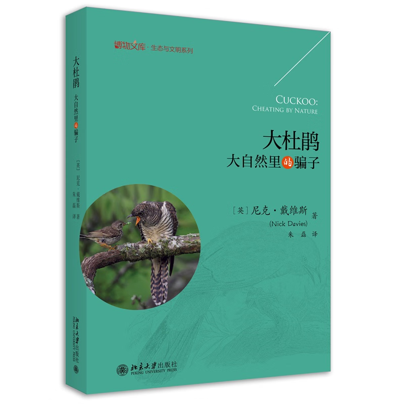 大杜鹃：大自然里的骗子