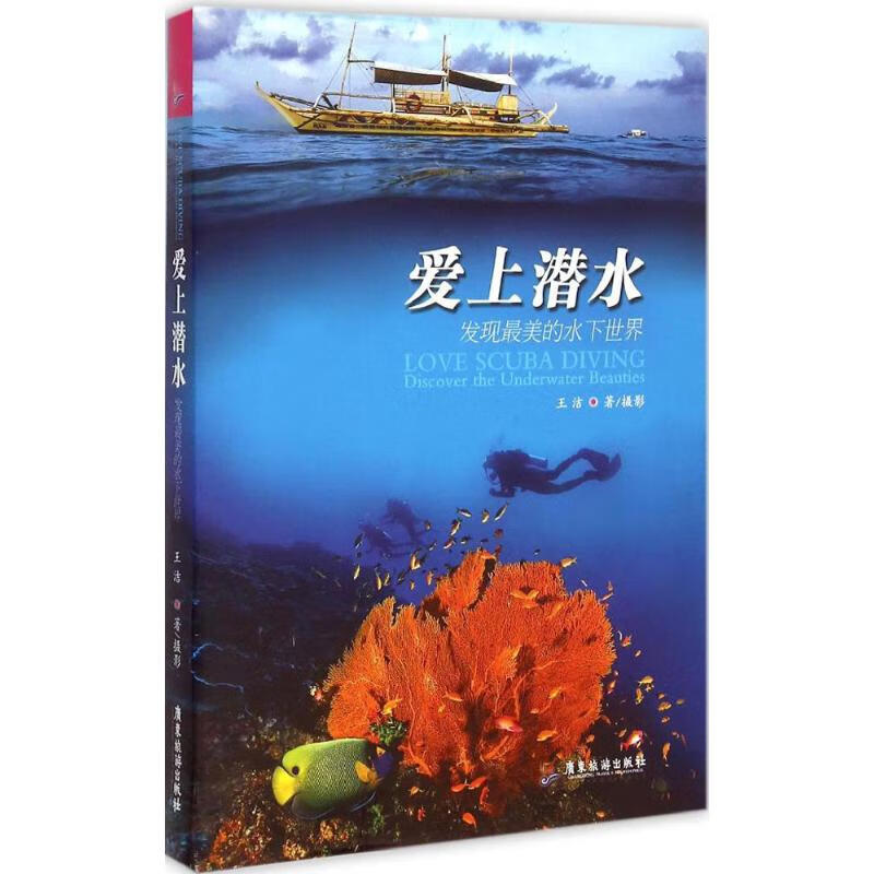 爱上潜水 王洁 书籍