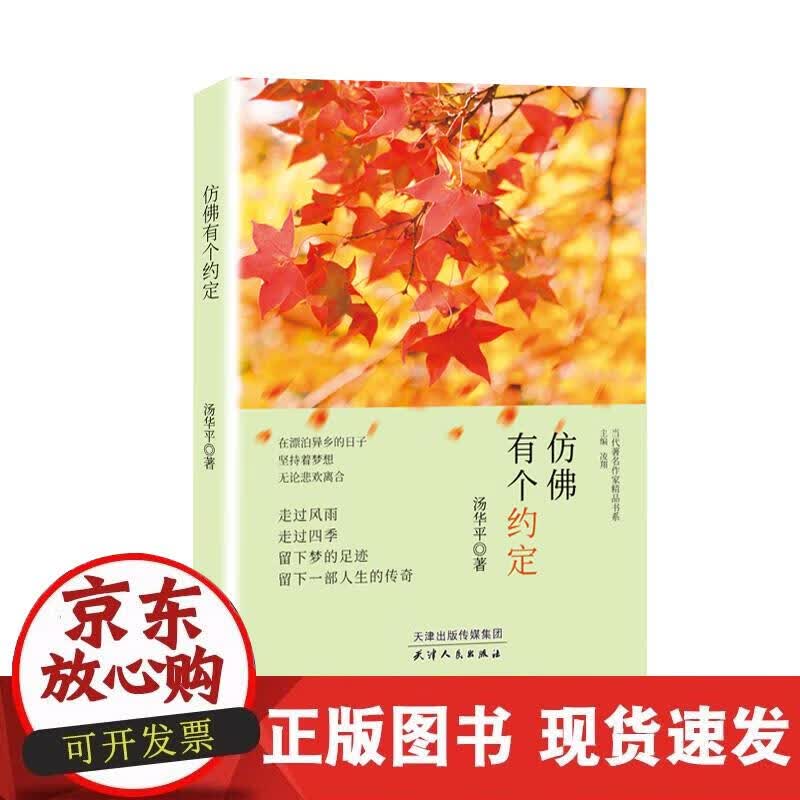 【现货】仿佛有个约定