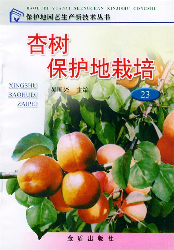 杏树保护地栽培