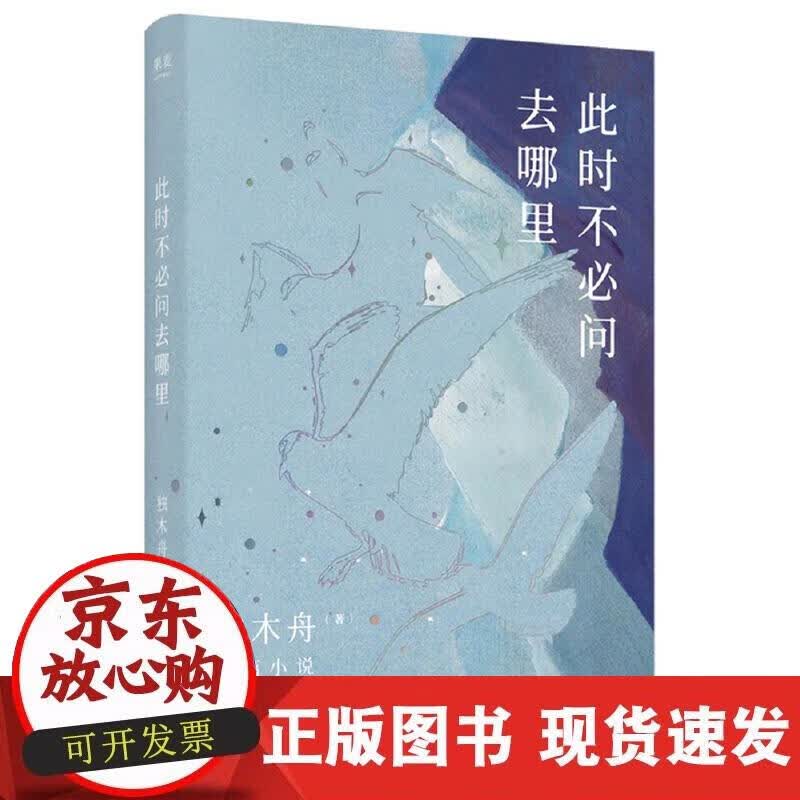【现货】此时不问去哪里（暌违五年，独木舟2020长篇力作。我们每个人的困顿与悲喜，不先问去哪里，