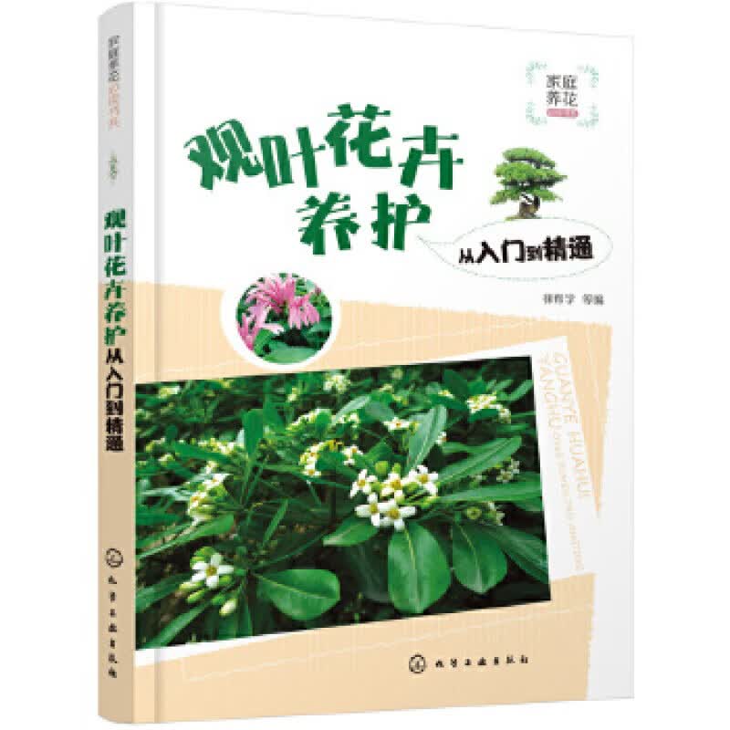 观叶花卉养护从入门到精通