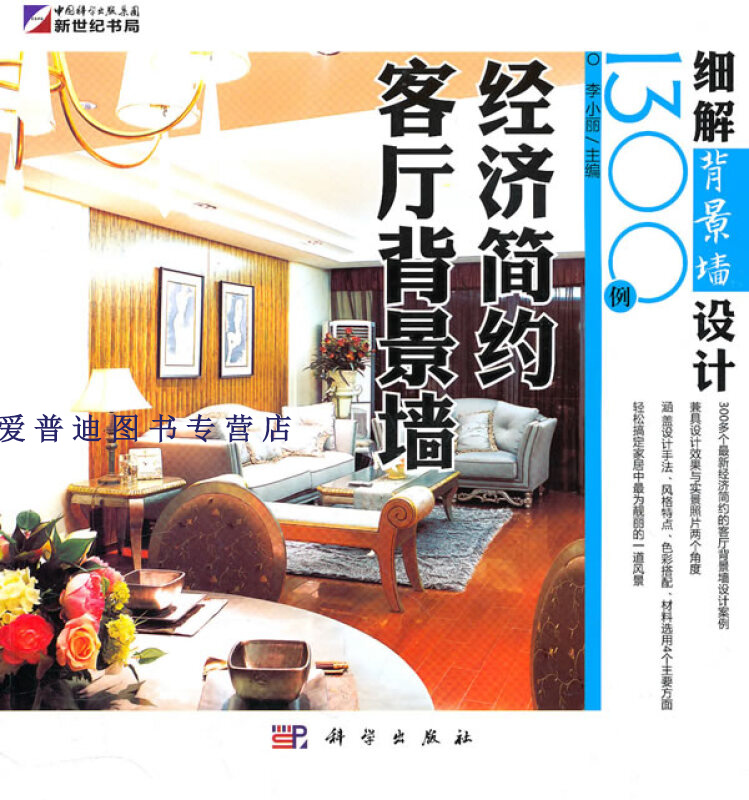 细解背景墙设计1300例 经济简约客厅背景墙 李小丽【，放心购买】