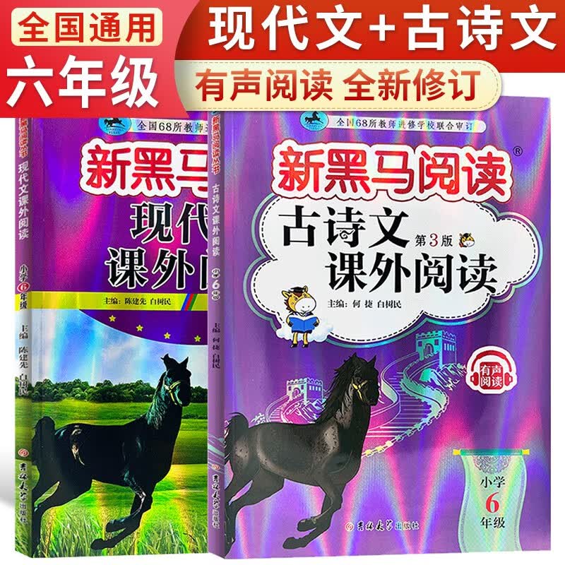 套装2册 2024版新黑马阅读 语文六年级现代文课外阅读+古诗文课外阅读 六年级语文阅读训练课外阅读辅导书