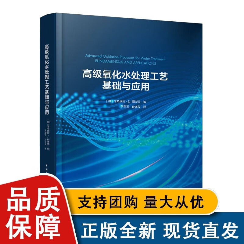 氧化水处理工艺基础与应用