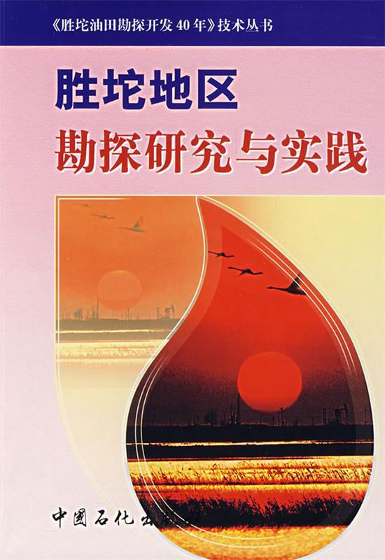 胜坨地区勘探研究与实践