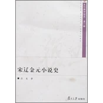 宋辽金元小说史 张兵