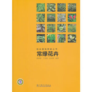 常绿花卉 徐晔砎【书】