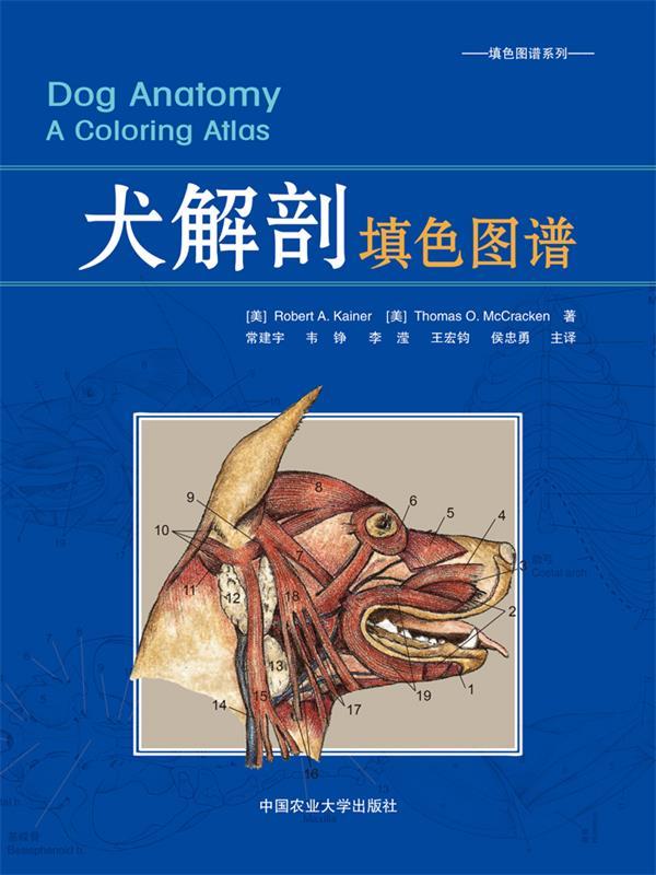 犬解剖填色图谱