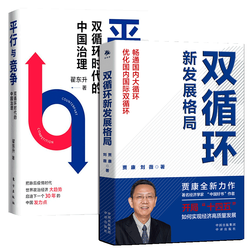 【翟东升4册】平行与竞争:双循环时代的中国治理+双循环新发展格局+疫情后中国经济新发展格局+ 货币、权利与人--全球货币与金融体系的民本主义政治经济学 中国经济形式分析 双循环2册