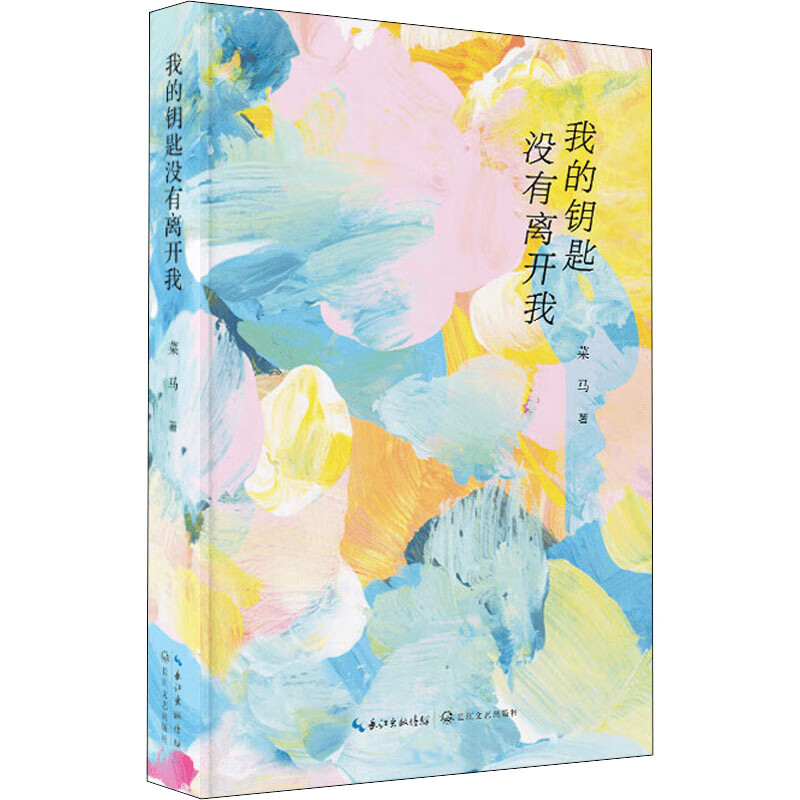 我的钥匙没有离开我 图书