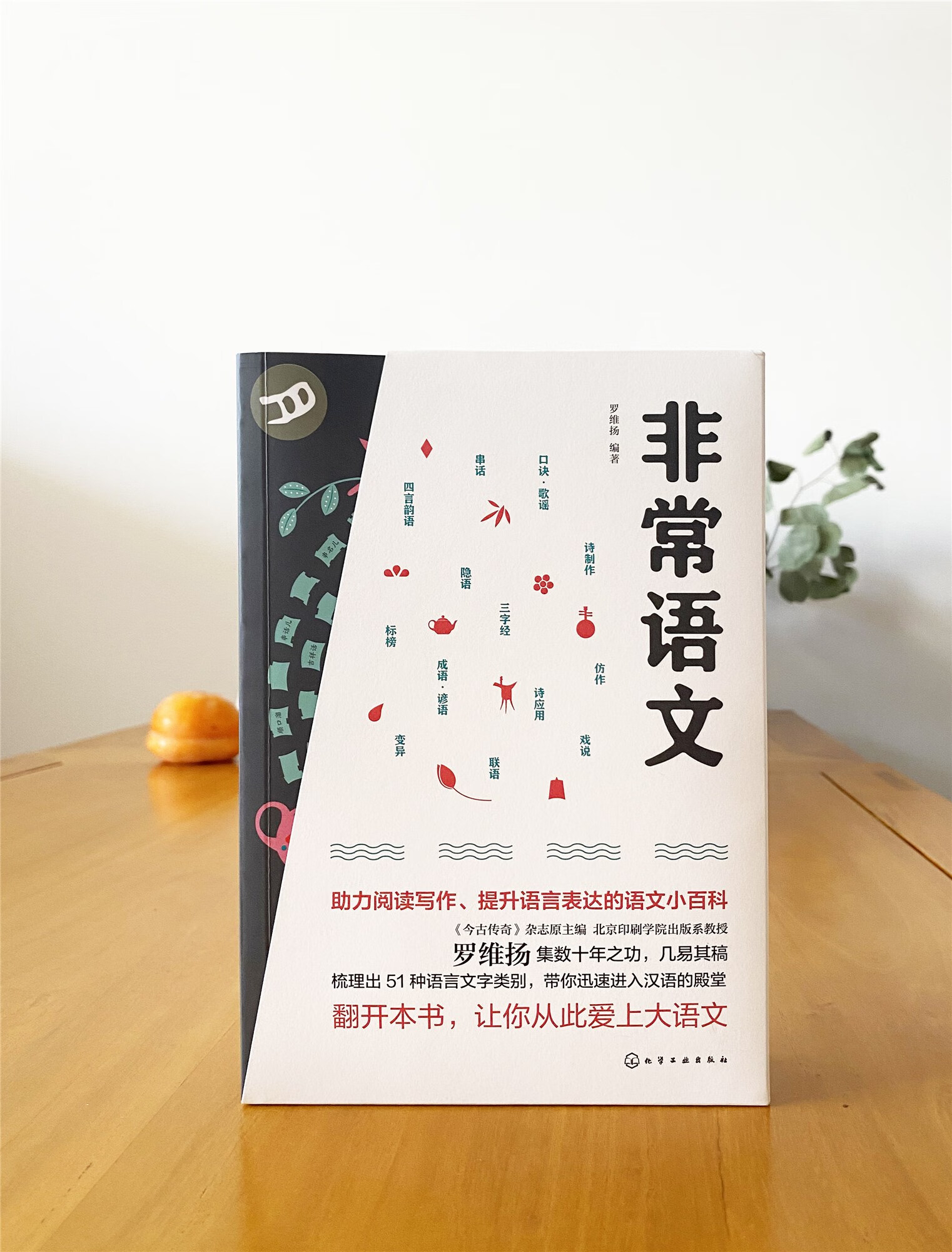 非常语文 全套3册 罗维扬 初中小学生通用语文阅读写作课外读物教辅 大语文知识百科趣味民间文学三字经古诗