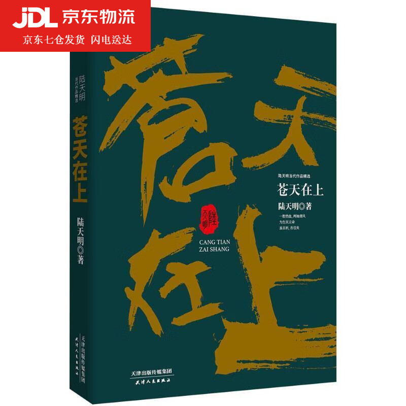 苍天在上 陆天明 著 9787201133072