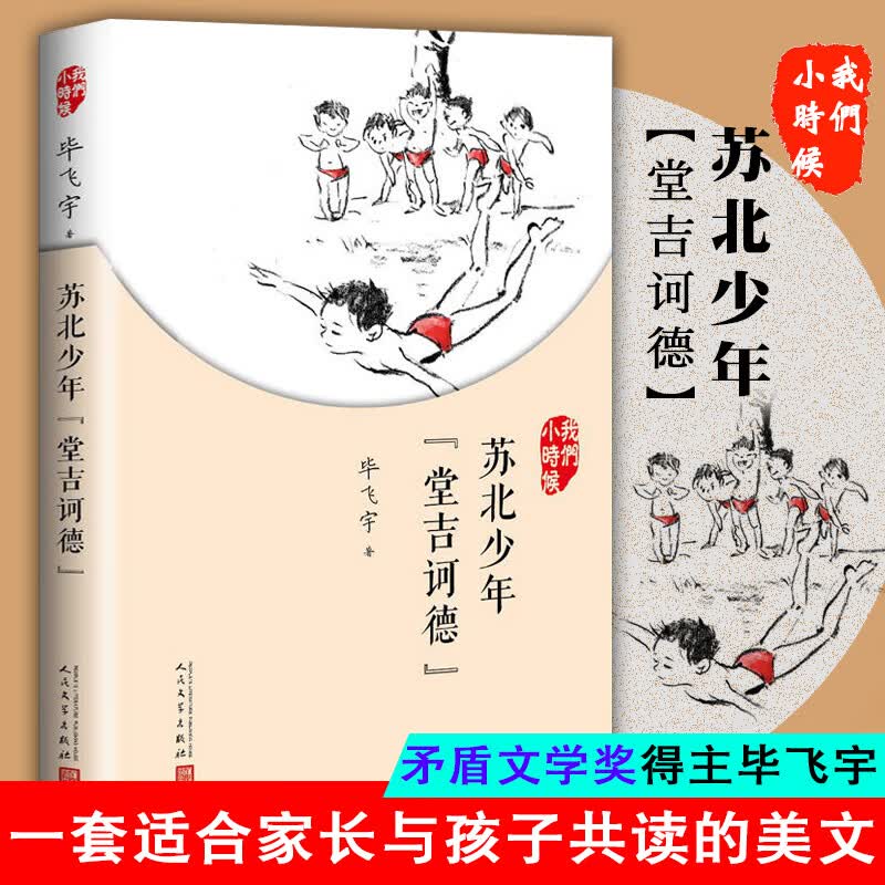 推荐苏北少年堂吉诃德 毕飞宇著 中国当代随笔散文 人民文学 适合家长与孩子共读的名家美文