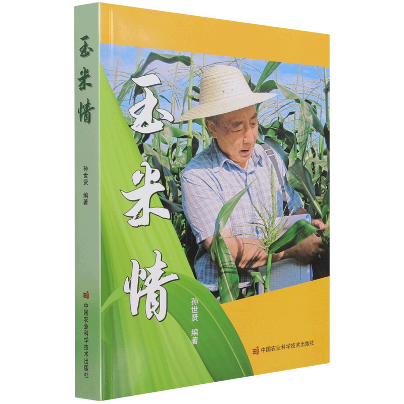 玉米情