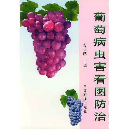 葡萄病虫害看图防治【好书】