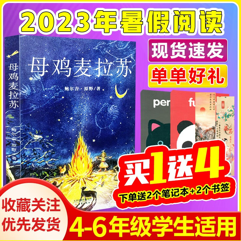 】少年和他的追风逐日红旗飘飘飞火我是一个兵少年运输兵失踪的木活字亲爱的足球我们如此勇敢狮王卡莫里母鸡麦拉苏人文大课堂在里约热内卢旅行 雪山脚背上的彩玛 母鸡麦拉苏