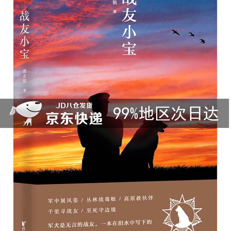 战友小宝