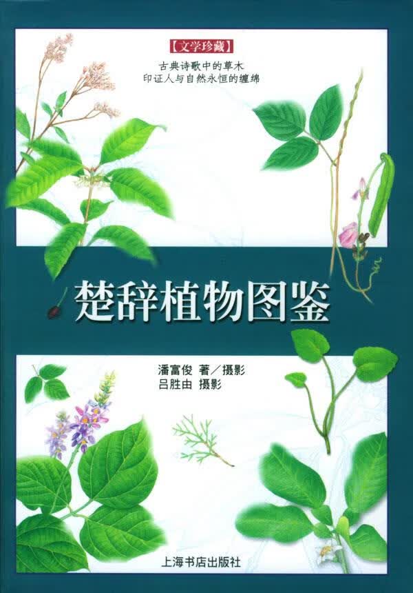 楚辞植物图鉴—文学珍藏