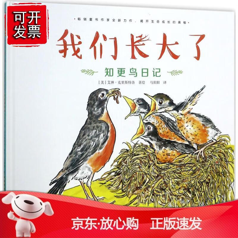 我们长大了：知更鸟日记