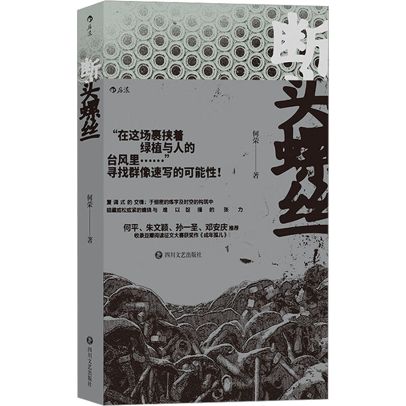 断头螺丝 何荣  书籍