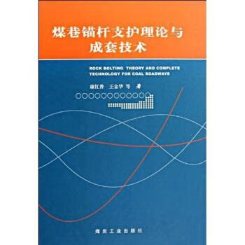 煤巷锚杆支护理论与成套技术 康红普 著