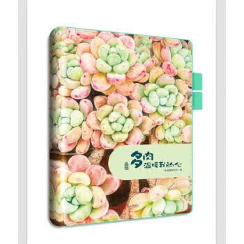 多肉温暖我的心 多肉植物百科