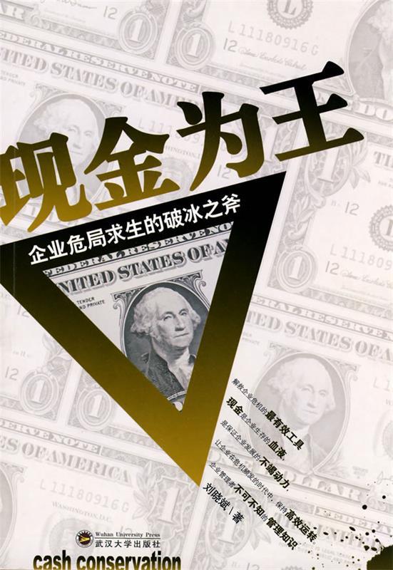 现金为王 刘晓斌著