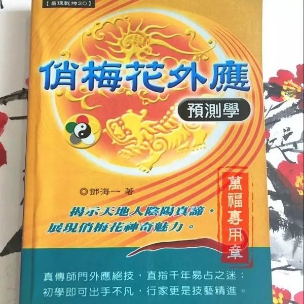 俏梅花外应预测学 邓海一 32开彩封胶装如图所示。封面覆膜精印版