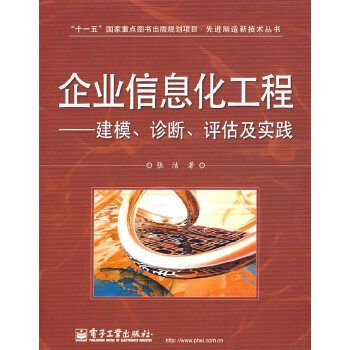 企业信息化工程：建模、诊断、估及实践