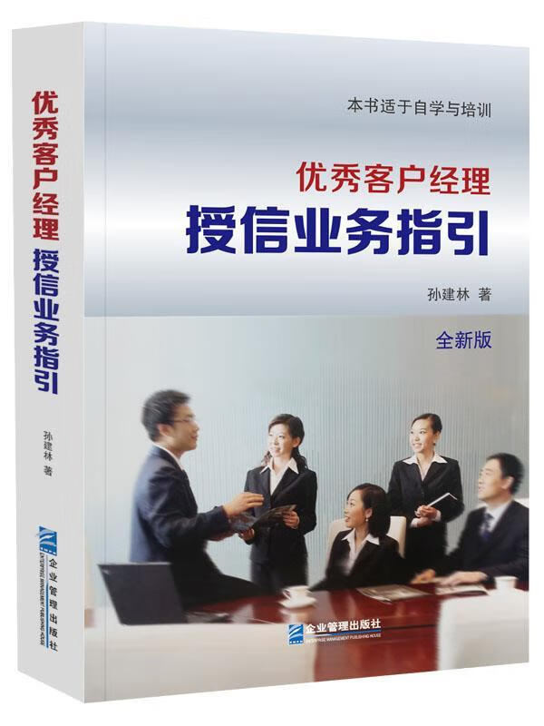 优秀客户经理授信业务指引 孙建林著 企业管理出版社