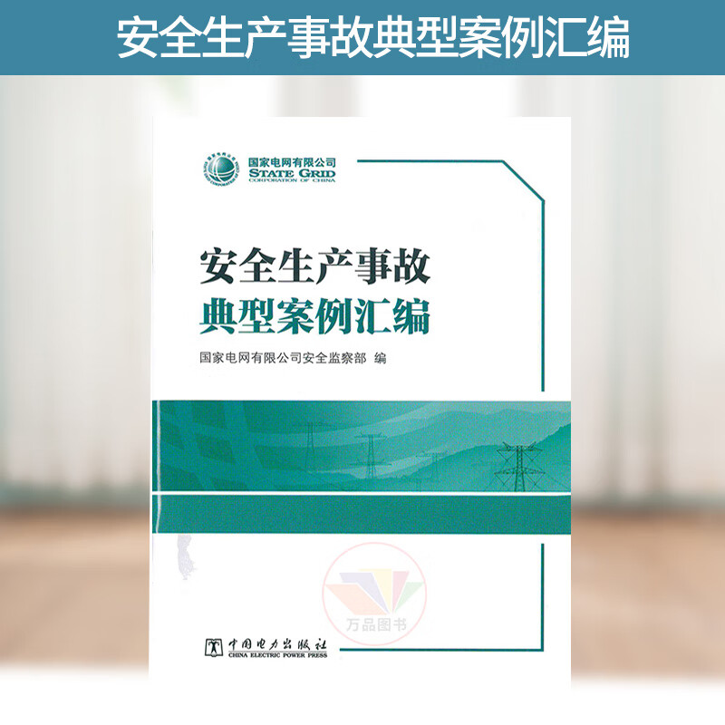 2019新书 安全生产事故典型案例汇编 国家电网公司发布 中国电力出版社