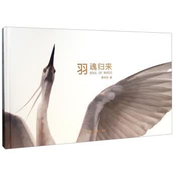 羽魂归来 陈利祥 著