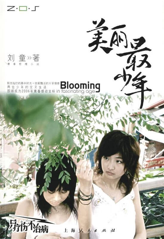 美丽少年