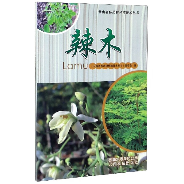 辣木/云南名特药材种植技术丛书