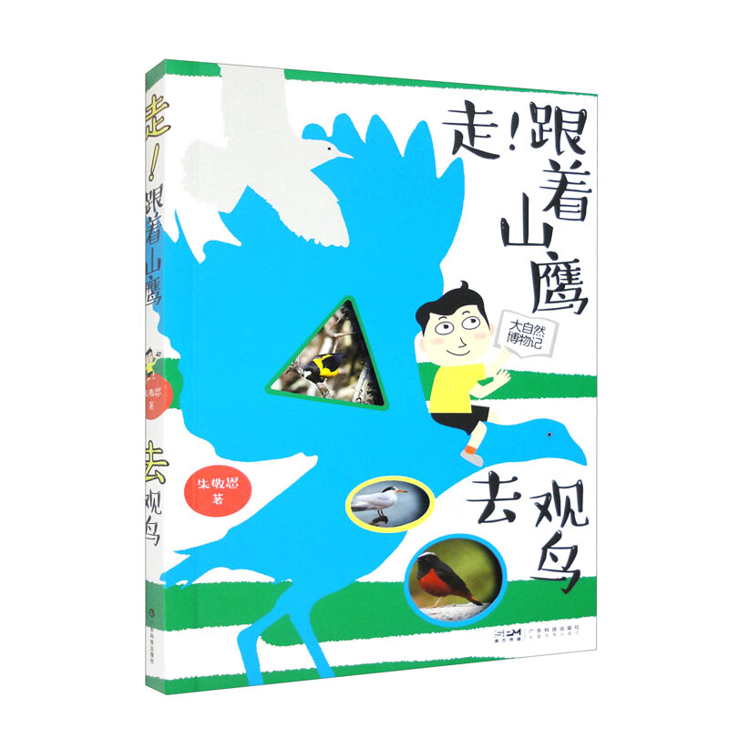 走！跟着山鹰去观鸟