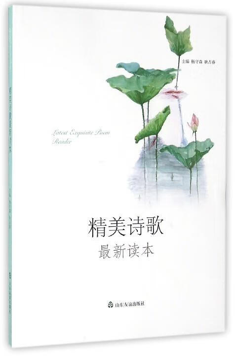 精美诗歌读本 杨守森,耿占春【书】