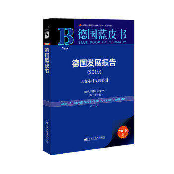(2019)德国发展报告