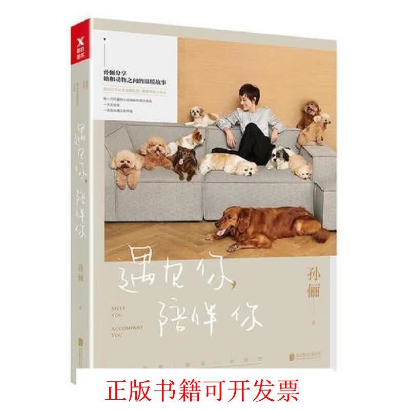 遇见你,陪伴你 孙俪 北京联合出版有限公司 9787559626455