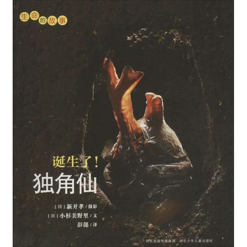 诞生了独角仙-生命的故事
