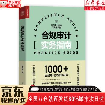 合规审计实务指南（人邮普华出品） 唐鹏展 人民邮电出版社