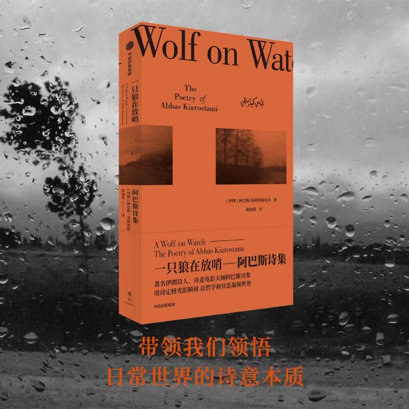 一只狼在放哨：阿巴斯诗集