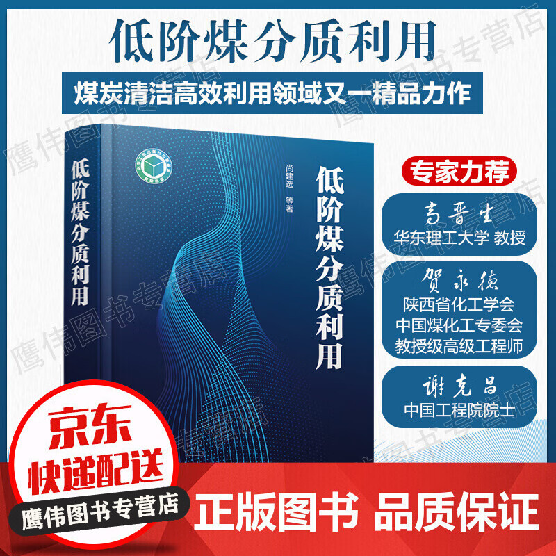 低阶煤分质利用 低阶煤特性分质利用概念与发展现状 低温煤焦油热解气热解半焦分质利用技术原理 煤化工清洁能源 煤炭高效利用书籍
