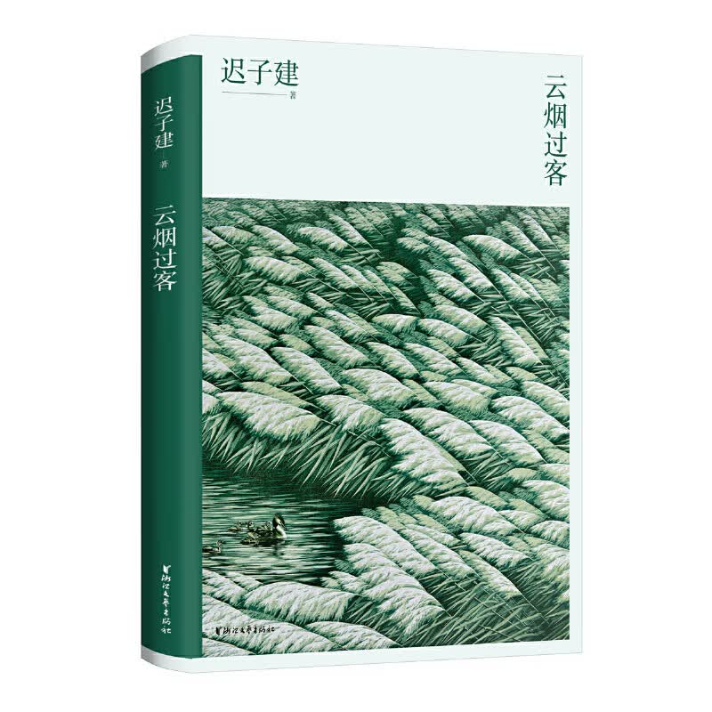 云烟过客（迟子建散文系列）