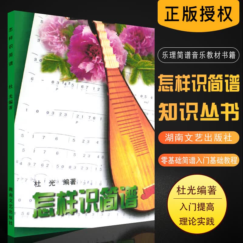 怎样识简谱 音乐知识小丛书 怎样学简谱怎么识简谱初学零基础简谱入门基础教程快速识谱教材 湖南文艺社
